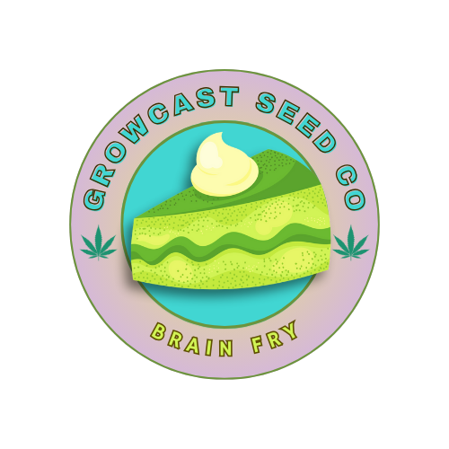 Brain Fry - 6pk Fems – rhizorich